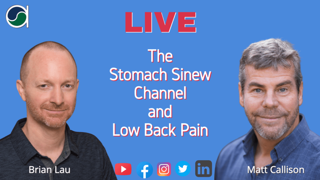 The Stomach Sinew Channel and Low Back Pain - American Acupuncture Council